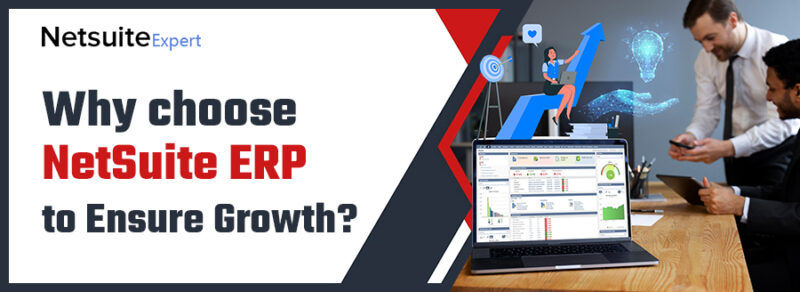 Top Notch NetSuite Development Services - NetsuiteExpert