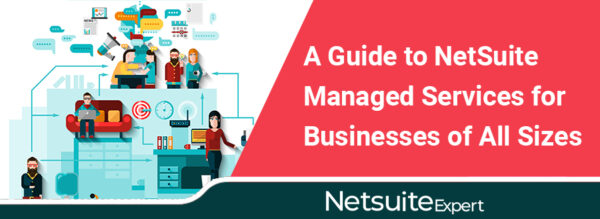 Top Notch NetSuite Development Services - NetsuiteExpert