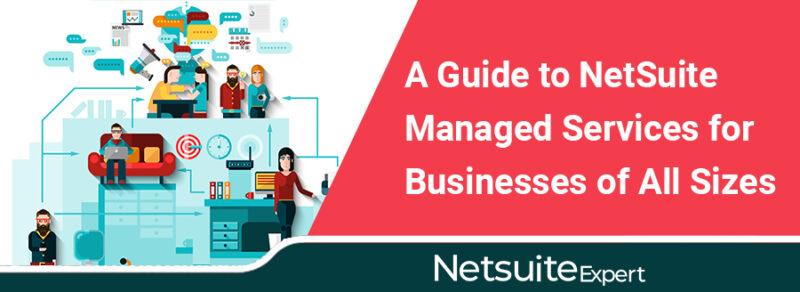 Top Notch NetSuite Development Services - NetsuiteExpert